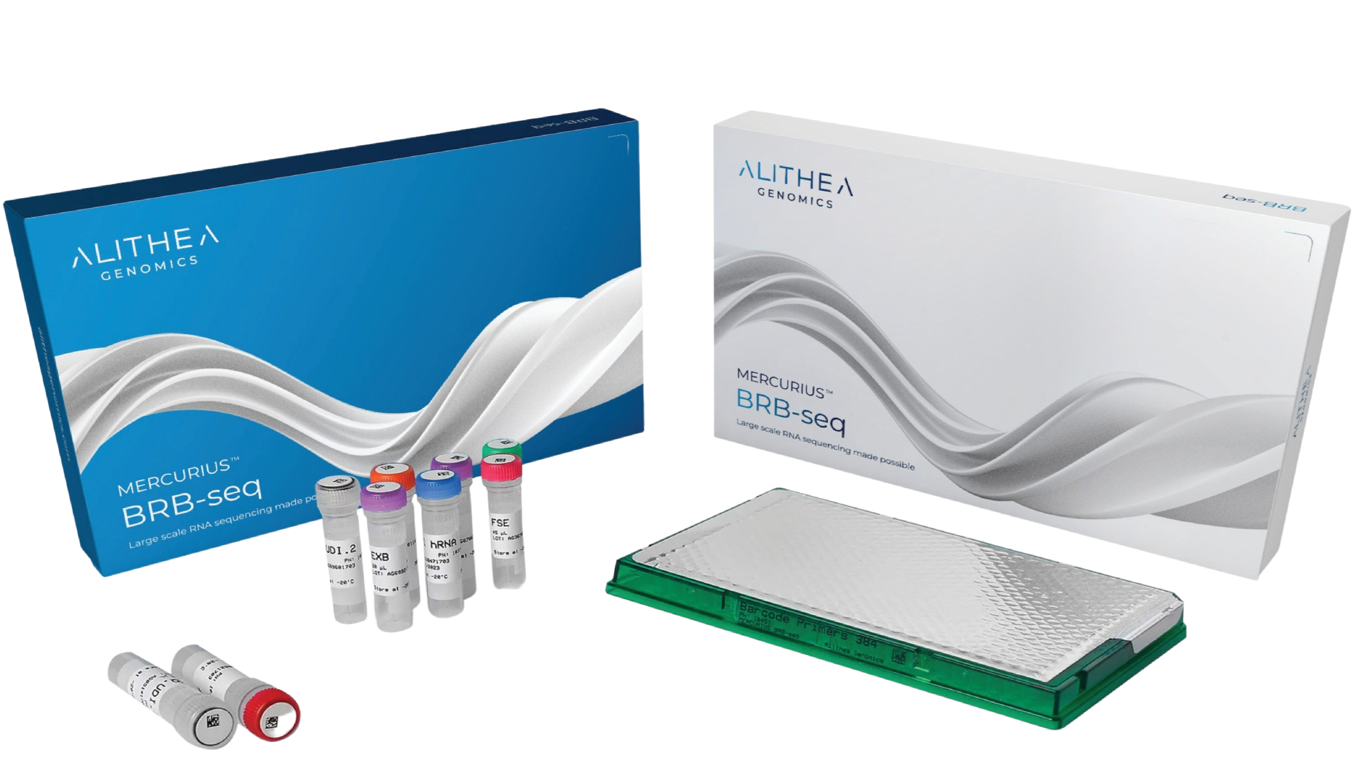 RNA-seq NGS Library Prep Kits Provider | Alithea Genomics