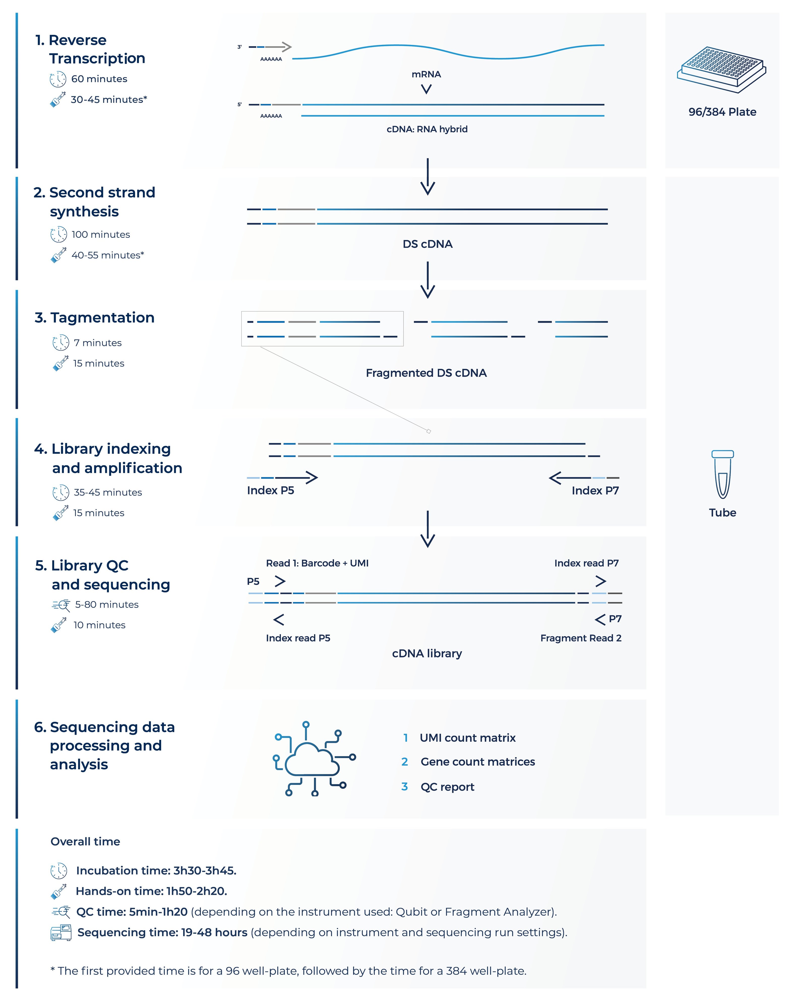 MERCURIUS™ BRB-seq kit for Illumina® | Alithea Genomics
