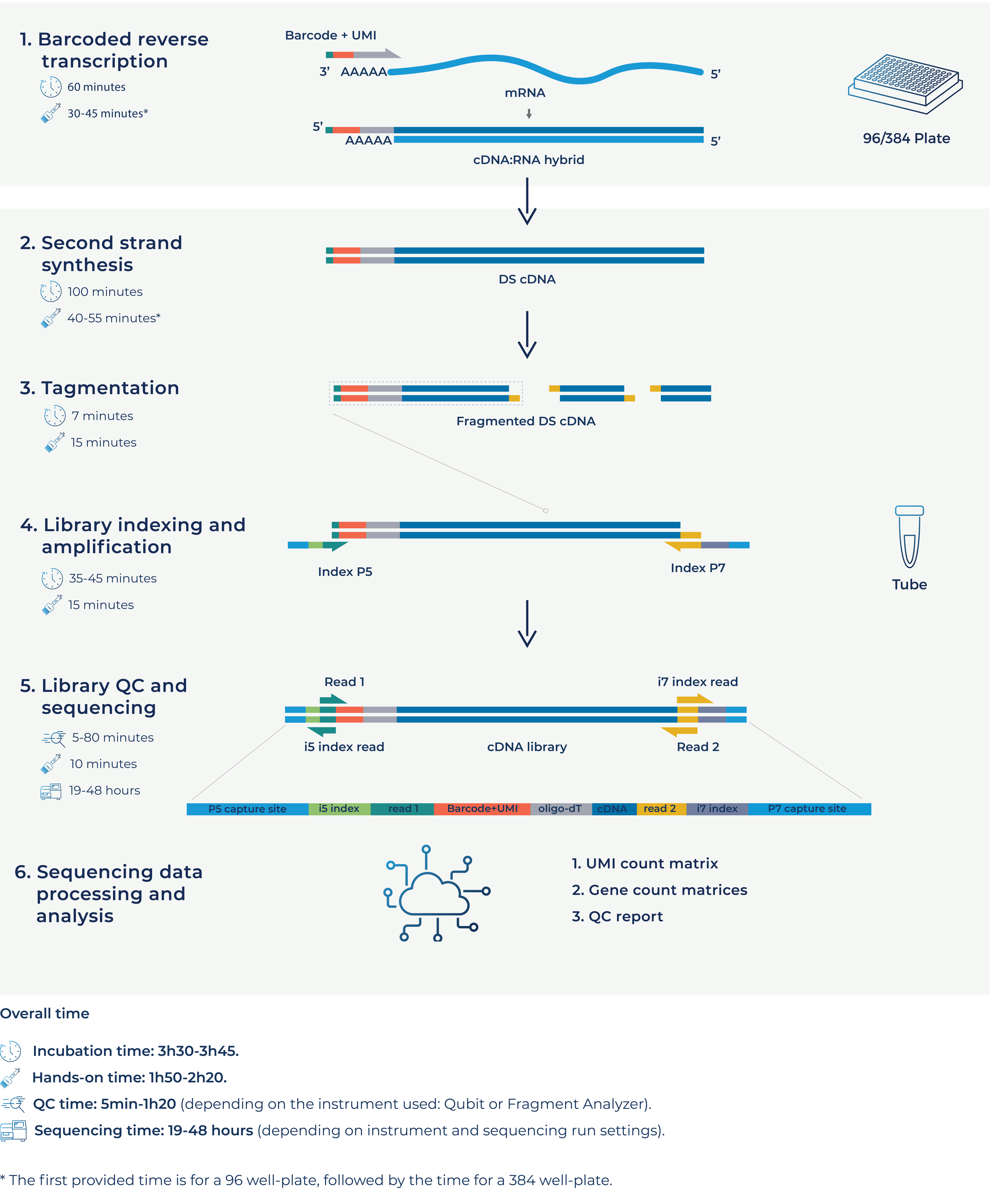 What is 3' mRNA sequencing?