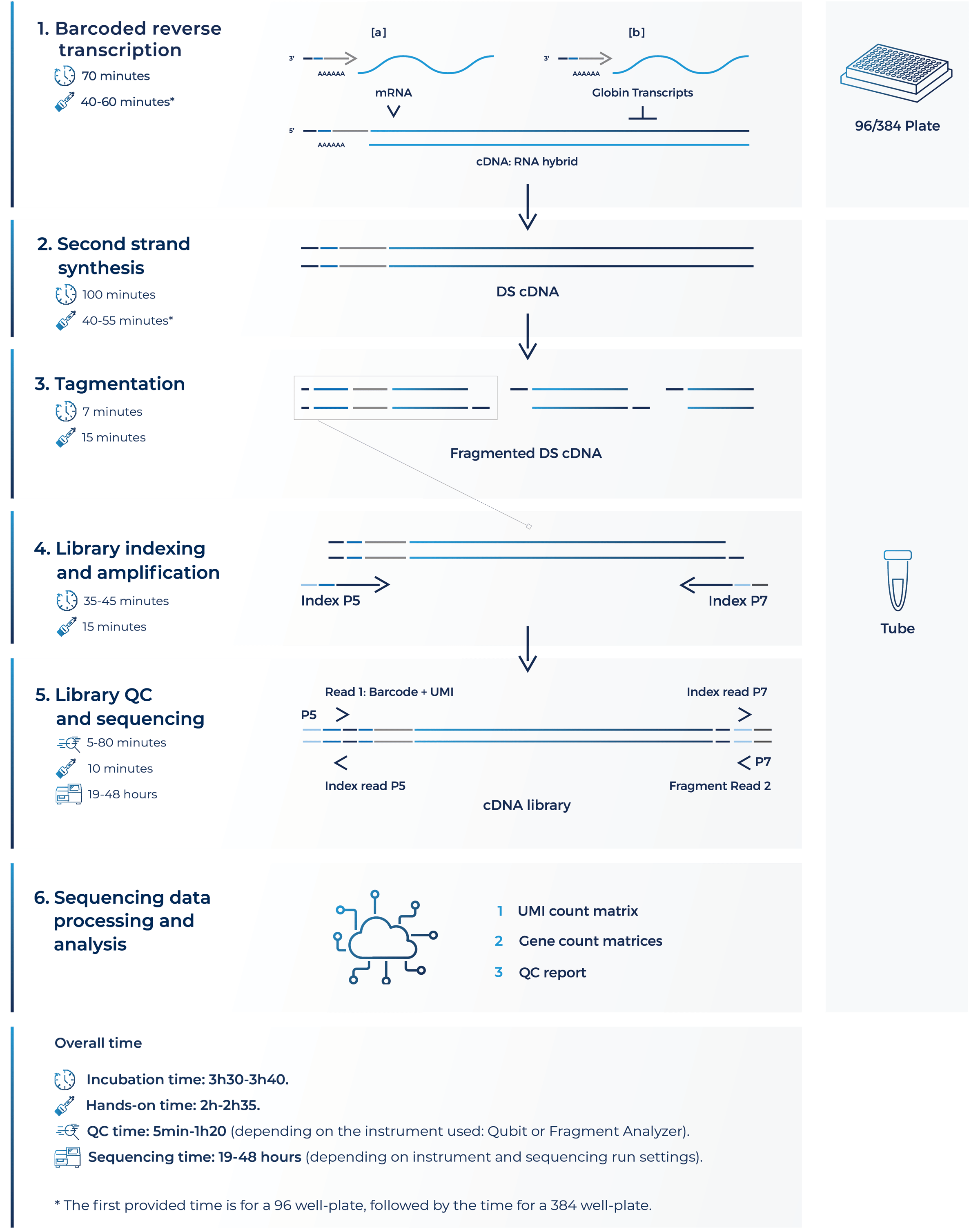 MERCURIUS™ Blood BRB-seq-kits | Blood RNA Seq MERCURIUS™ Blood BRB-seq-kits | Blood RNA Seq