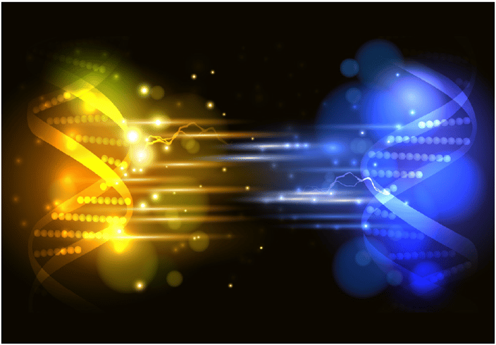 Examples Of High Throughput Rna Seq Technologies Alithea Genomics