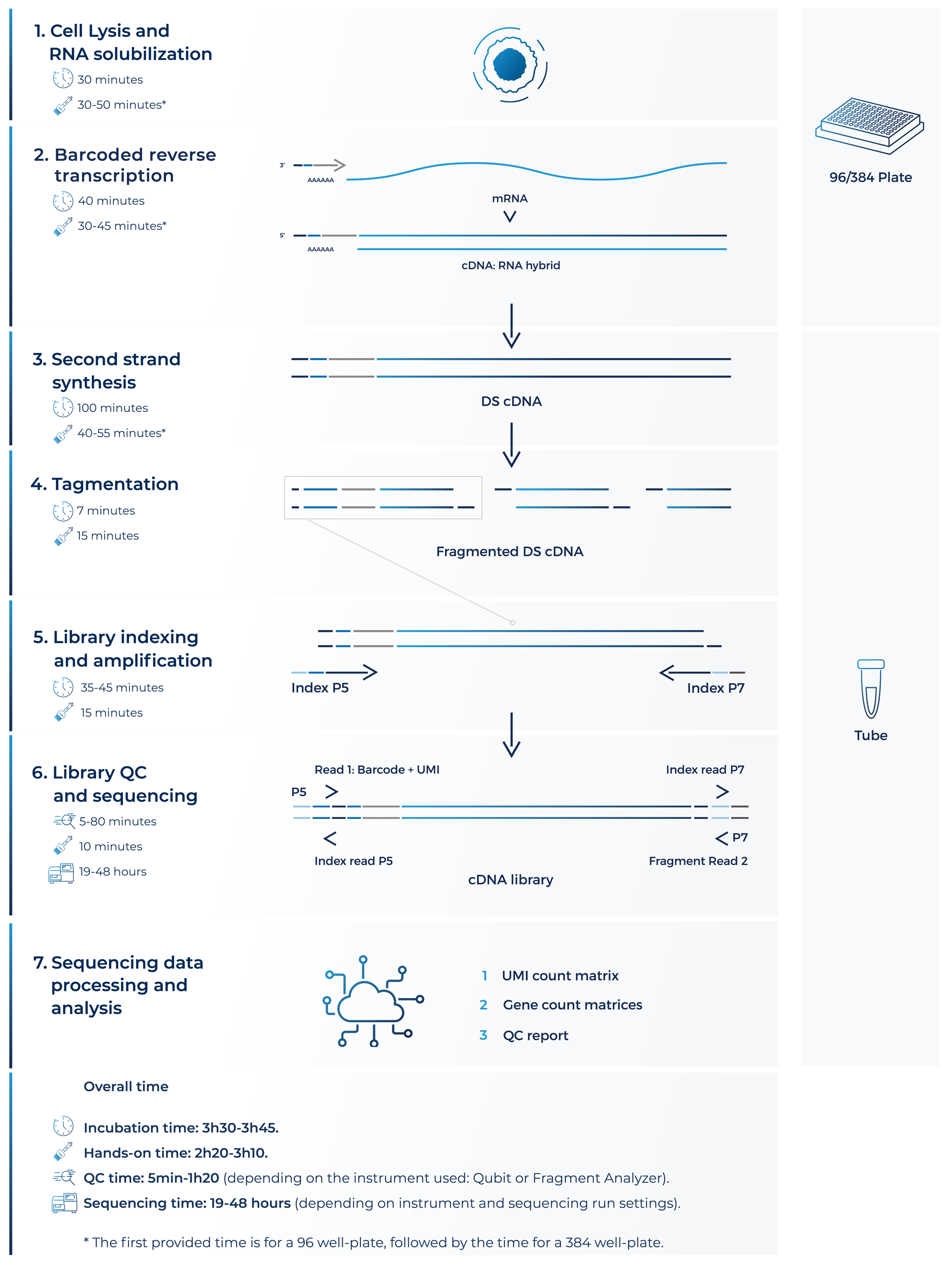 MERCURIUS™ DRUG-Seq-kits | Extraction-free library preparation kits