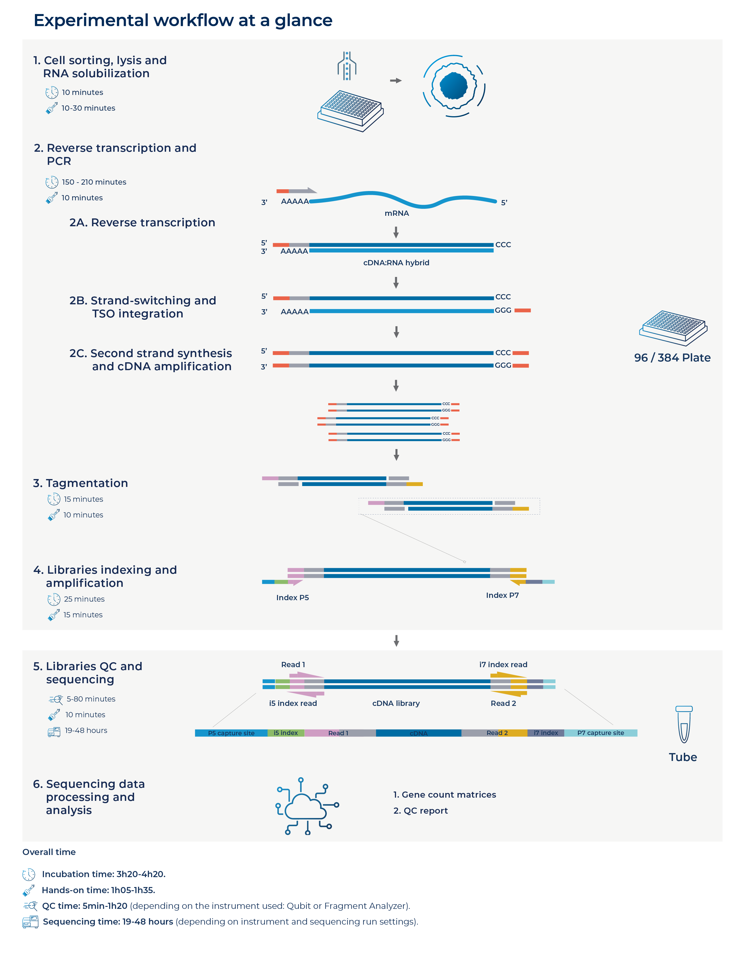MERCURIUS™ Single-cell FLASH-Seq-kits | Ultra-sensitive and full-length library preparation kits