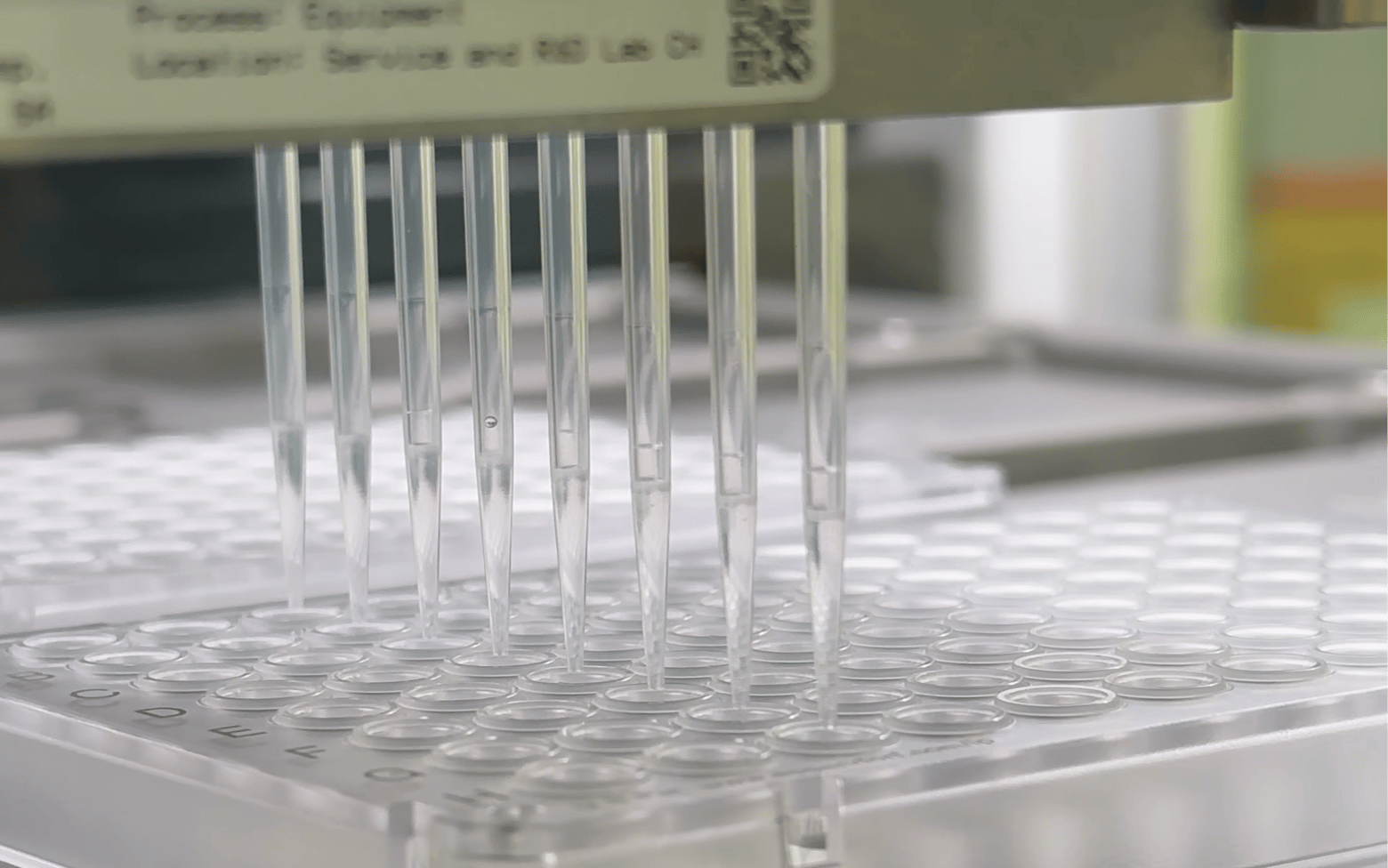 What is the difference between Smart-seq2, Smart-seq3, and FLASH-seq ...