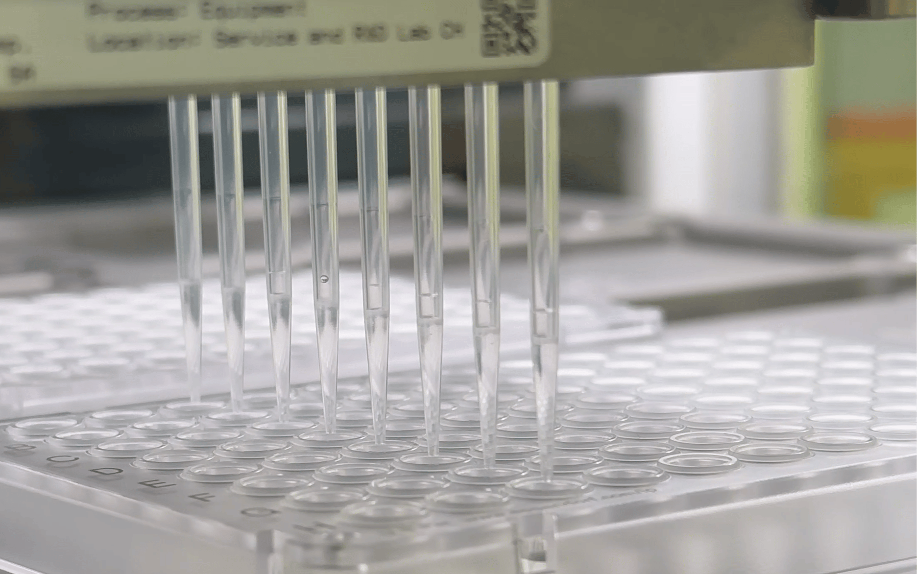 What is the difference between Smart-seq2, Smart-seq3, and FLASH-seq ...