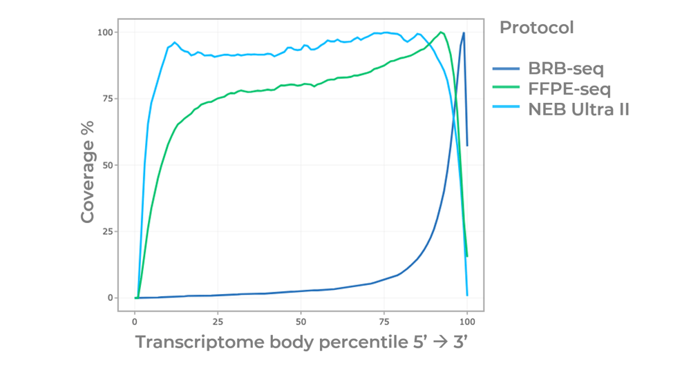 Alithea Genomics | Large-scale RNA sequencing