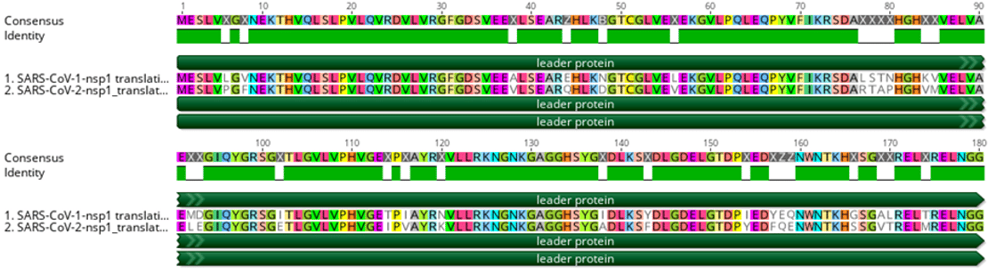COVID-19 under the BRB-Seq microscope: A Tale of Two Coronaviruses