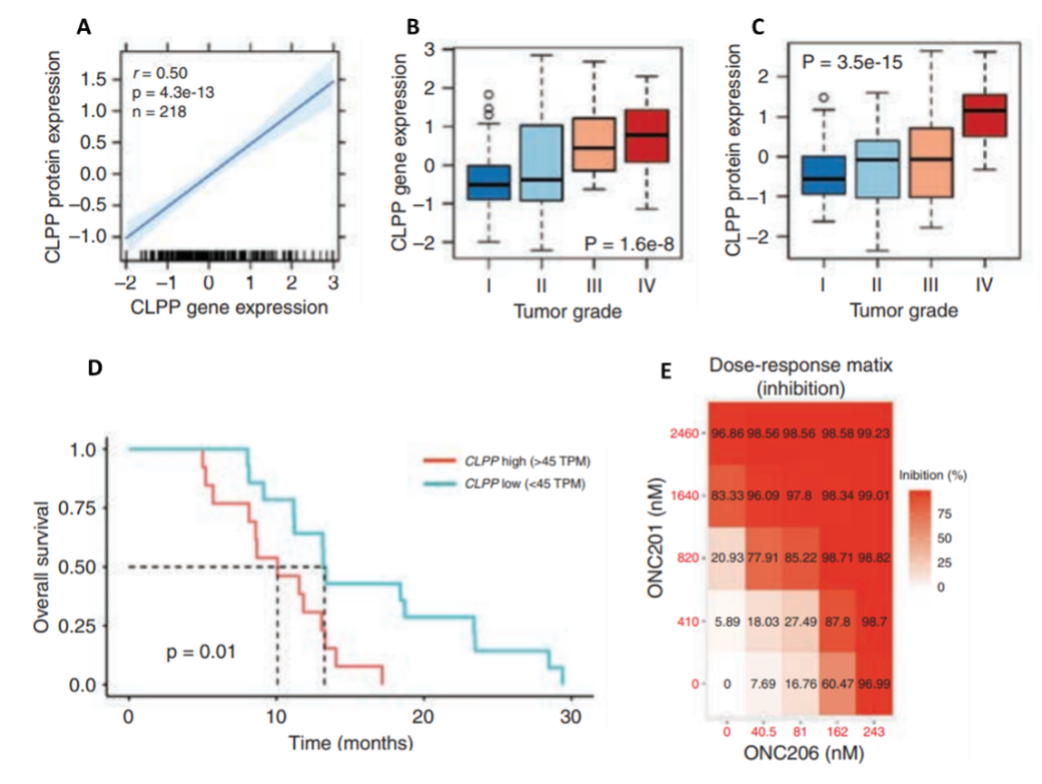 BRB-seq in Cancer Therapeutics | Alithea Genomics