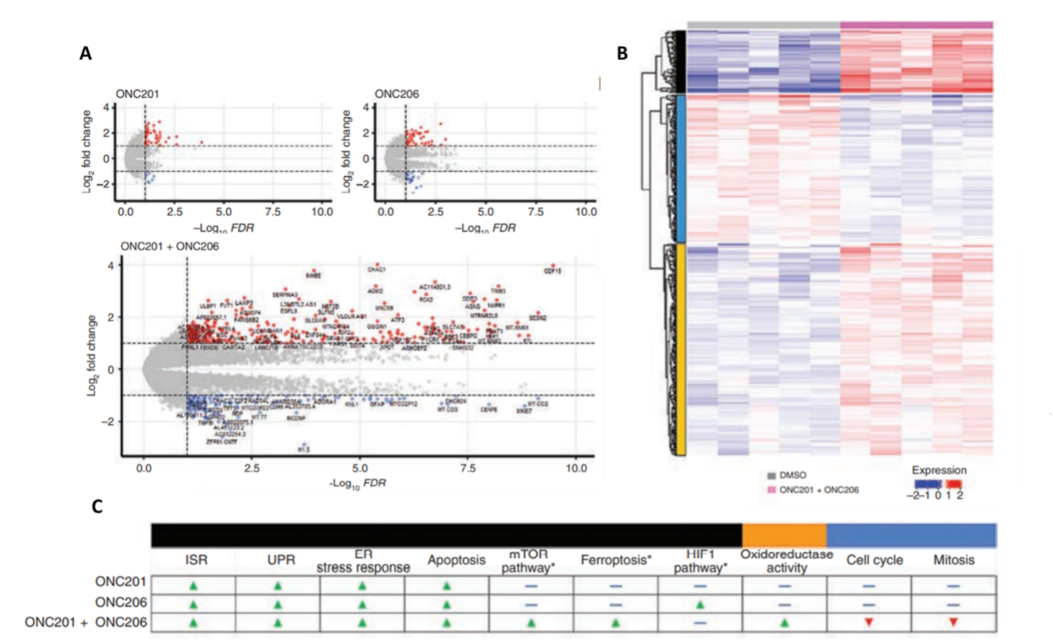 BRB-seq in Cancer Therapeutics | Alithea Genomics