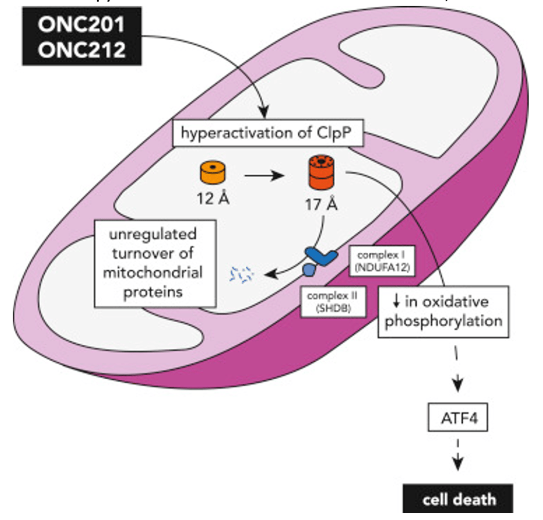 BRB-seq in Cancer Therapeutics | Alithea Genomics