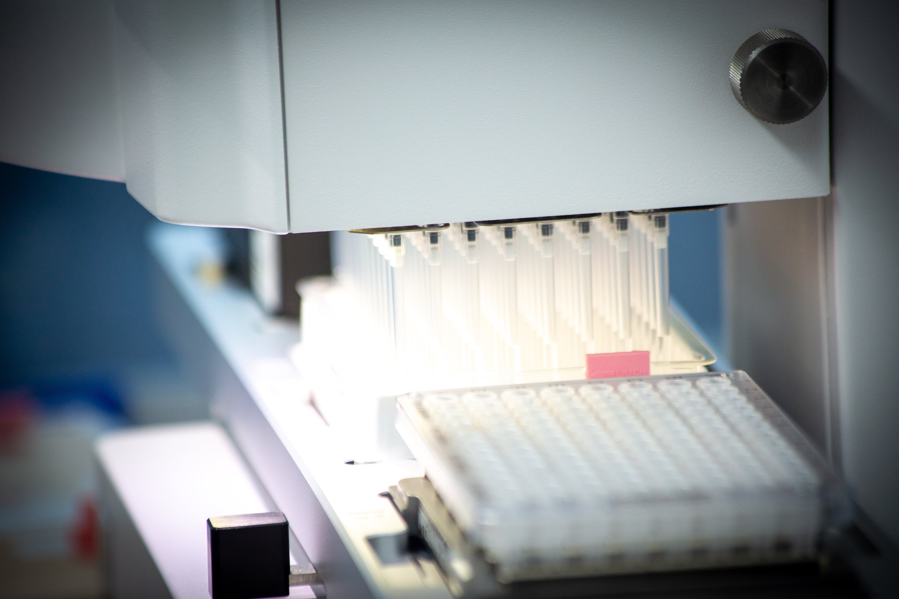 DRUG-seq | High-Throughput RNA-seq service | Alithea Genomics