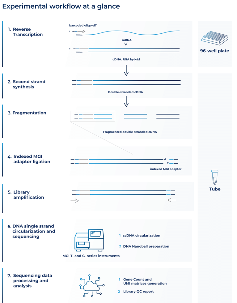 How are MERCURIUS™ BRB-seq and DRUG-seq library preps compatible with ...
