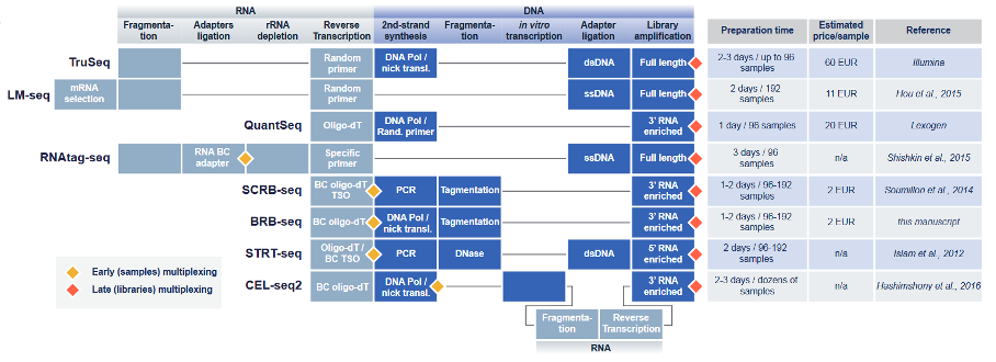 What is 3' mRNA sequencing?
