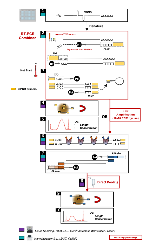 Comparing FLASH-seq and VASA-seq