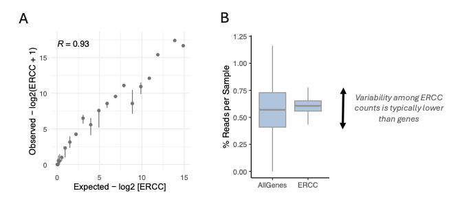 Using External RNA Controls Consortium (ERCC) Molecules Enhances ...