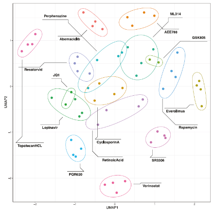 Case Study: Combining High-Content Imaging and MERCURIUS™ DRUG-seq to ...
