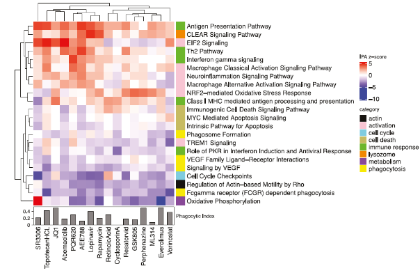Case Study: Combining High-Content Imaging and MERCURIUS™ DRUG-seq to ...