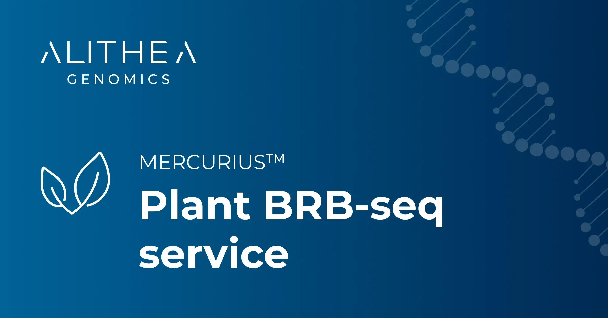 Plant BRB-seq Services | Low Cost RNA-seq Service | Alithea Genomics